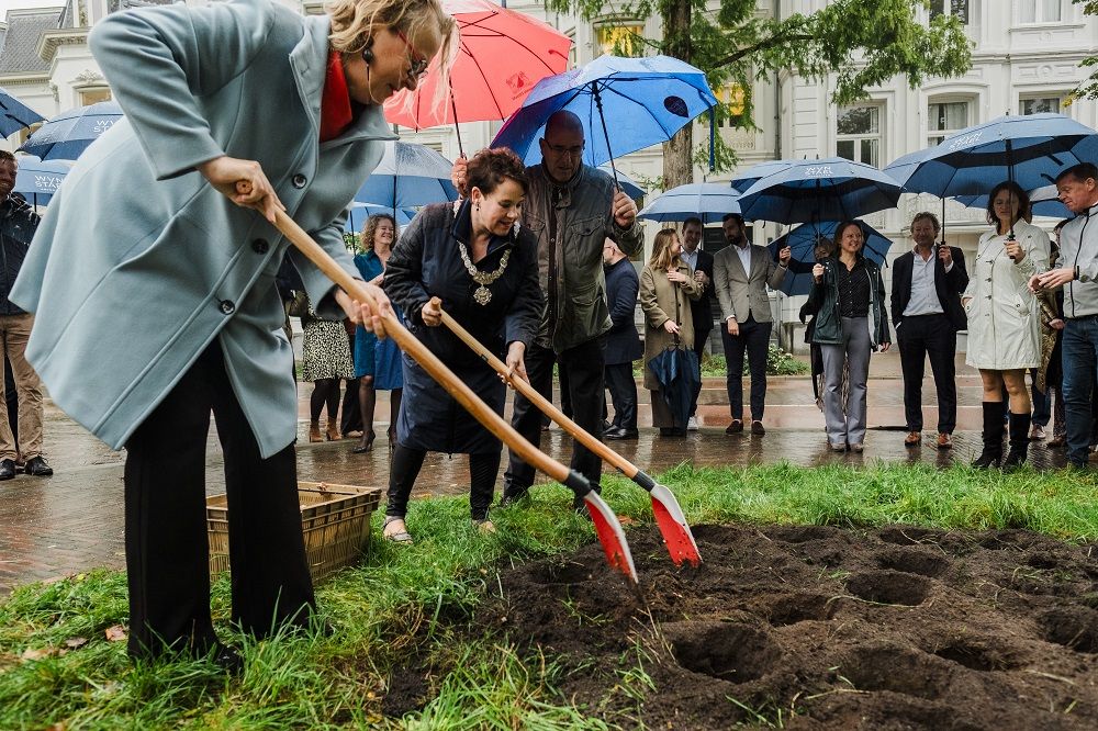 Wijn & Stael viert 75-jarig bestaan met zestigduizend bloembollen - Mr ...